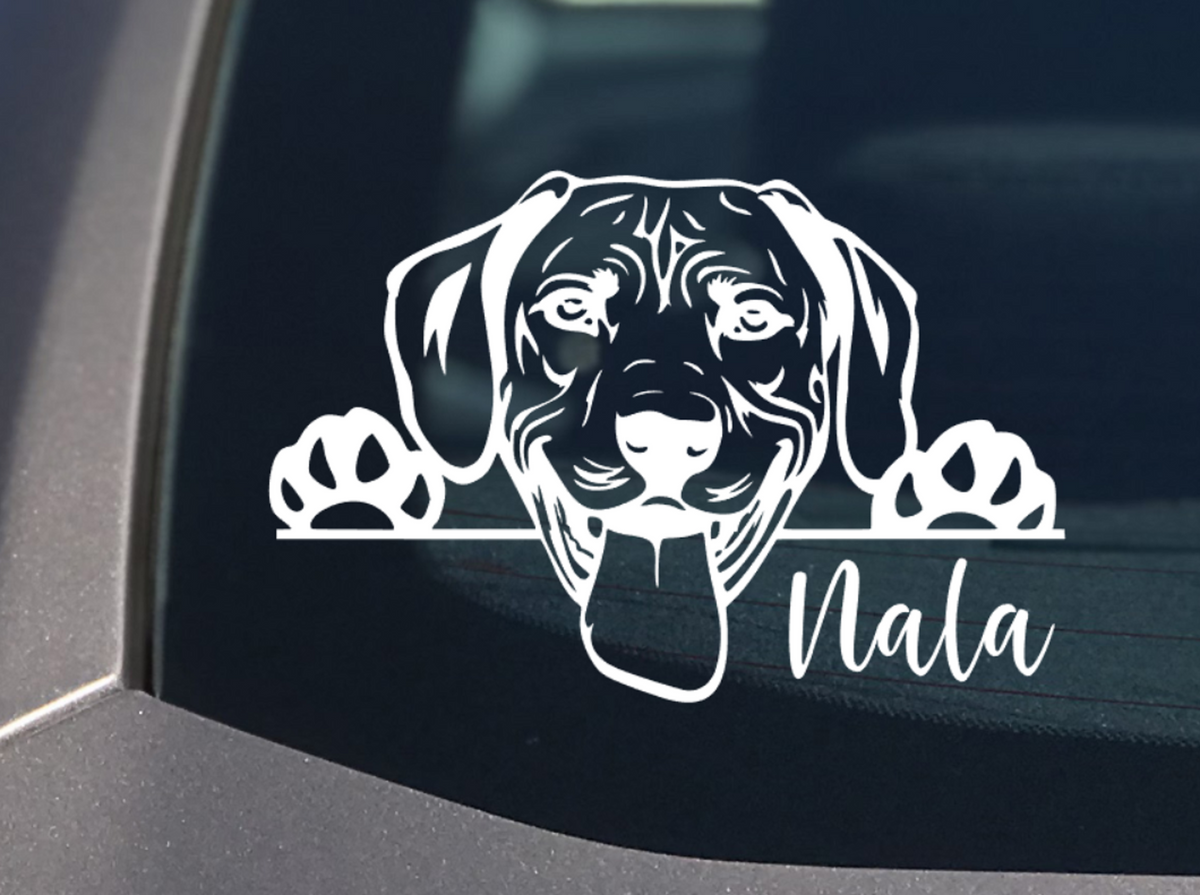 Rhodesian Ridgeback Peeking dog Car Sticker – My Crafty Dog