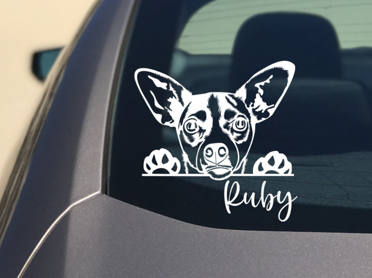 American Rat Terrier Peeking Car Sticker – My Crafty Dog