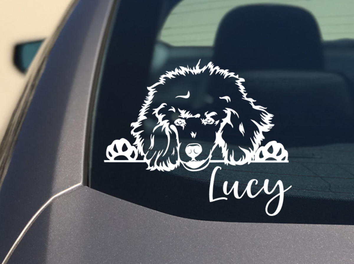 Poodle Peeking Dog Car Sticker – My Crafty Dog